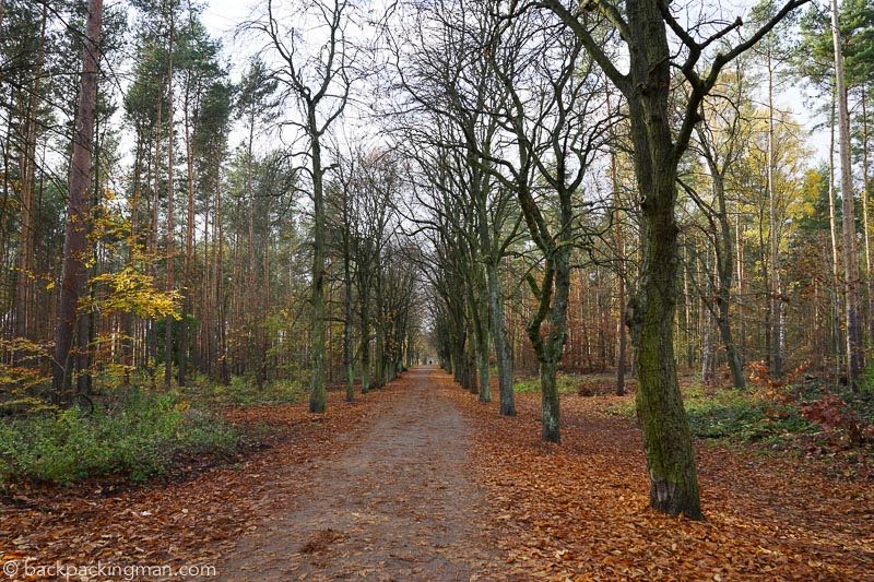 gruneweld-forest-berlin - Backpackingman