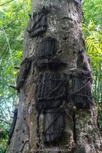 What To Do In Tana Toraja Sulawesi (Funerals And Hiking Advice)