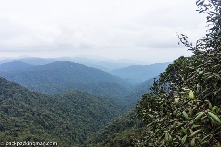 3 Best Things To Do In The Cameron Highlands In One Day