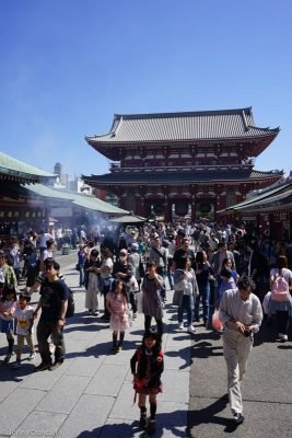 The Best Things To Do In Tokyo