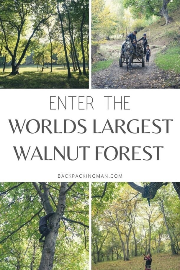 Arslanbob - Enter The Fairytale Walnut Forest of Kyrgyzstan