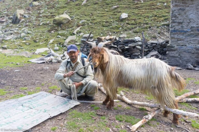 Hunza Valley Pics (The Enchanted Land)