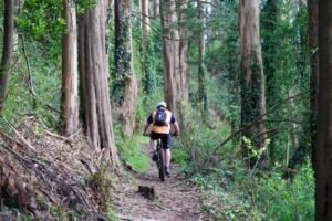 21 Best Places To Visit In San Francisco (Including Hiking)