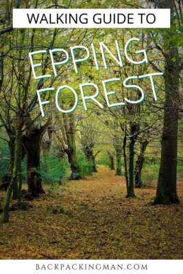 10 Best Epping Forest Walks To Do - Backpackingman