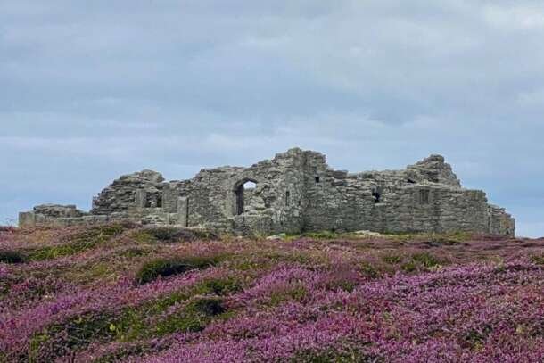 15 Best Castles In Cornwall To Visit - Backpackingman