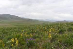 Visiting Deosai National Park in Pakistan - Backpackingman