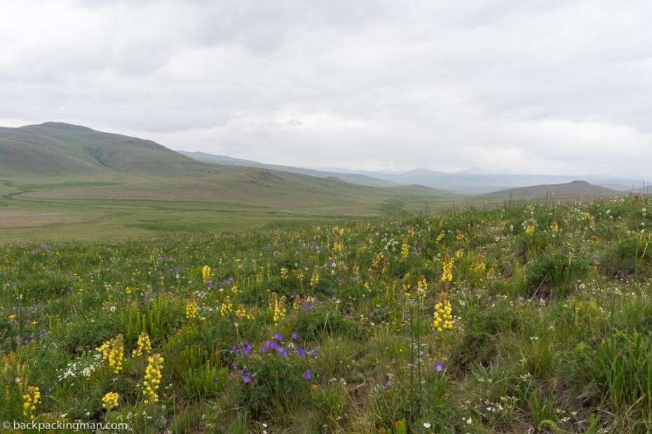 Visiting Deosai National Park in Pakistan - Backpackingman