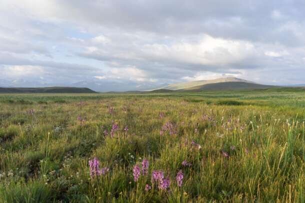 Visiting Deosai National Park in Pakistan - Backpackingman