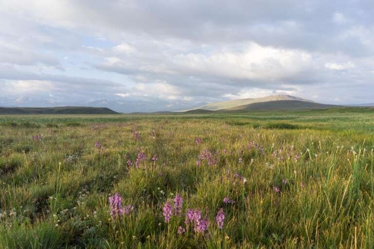 Visiting Deosai National Park in Pakistan - Backpackingman