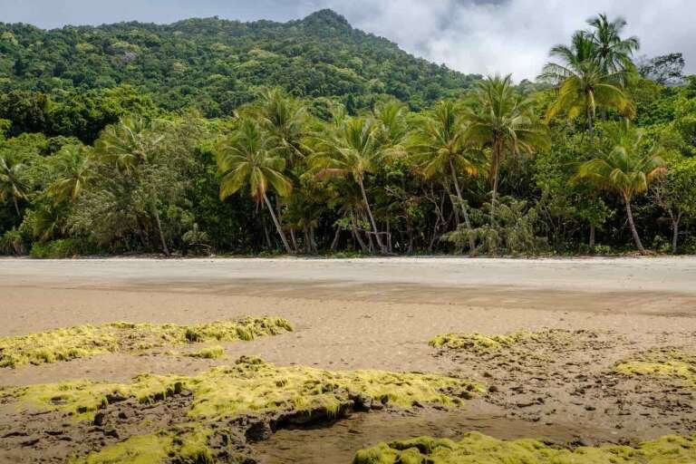10 Best Jungle Hiking Destinations In The World - Backpackingman