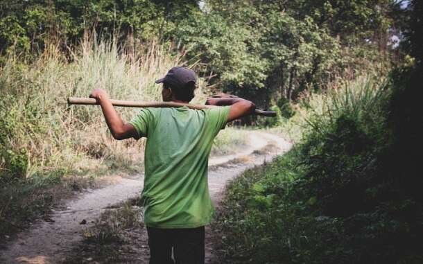 10 Best Jungle Hiking Destinations In The World - Backpackingman
