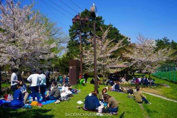 Japan Bucket List: 10 Epic Wonders From Tokyo & Beyond
