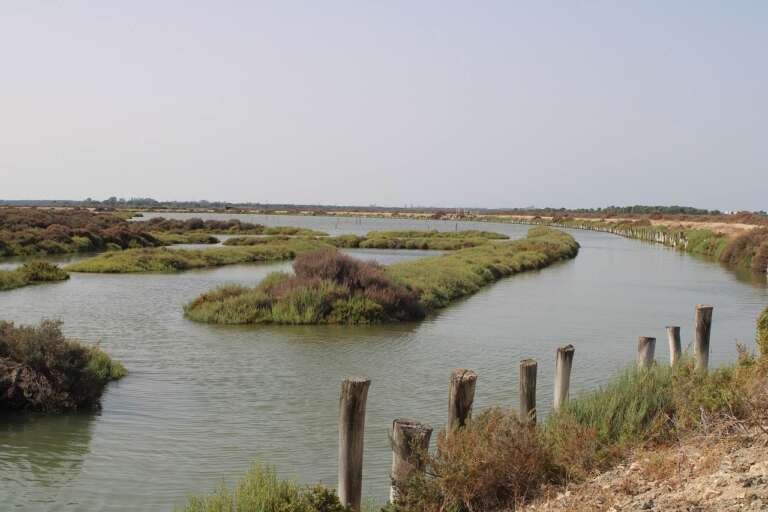 10 Stunning Landscapes In Spain: From Coast to Sierra