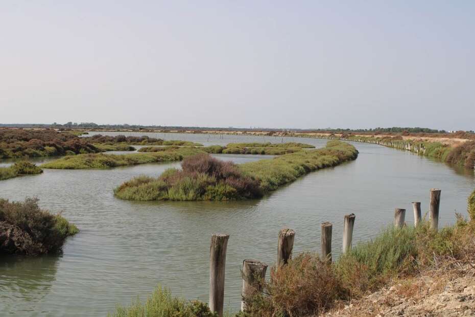 10 Stunning Landscapes In Spain: From Coast to Sierra