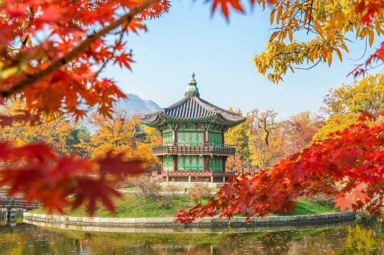 10 Best Documentaries About Korea To Watch