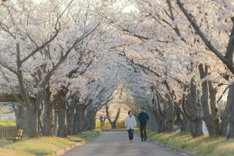 5 Reasons To Visit Japan In Spring - Backpackingman