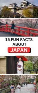 15 Fun Facts About Japan - Backpackingman