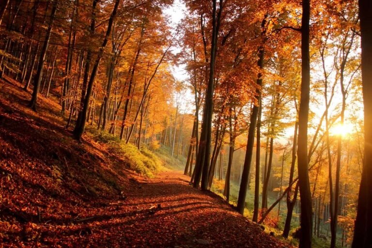 20 Perfect Autumn Destinations in Europe - Backpackingman