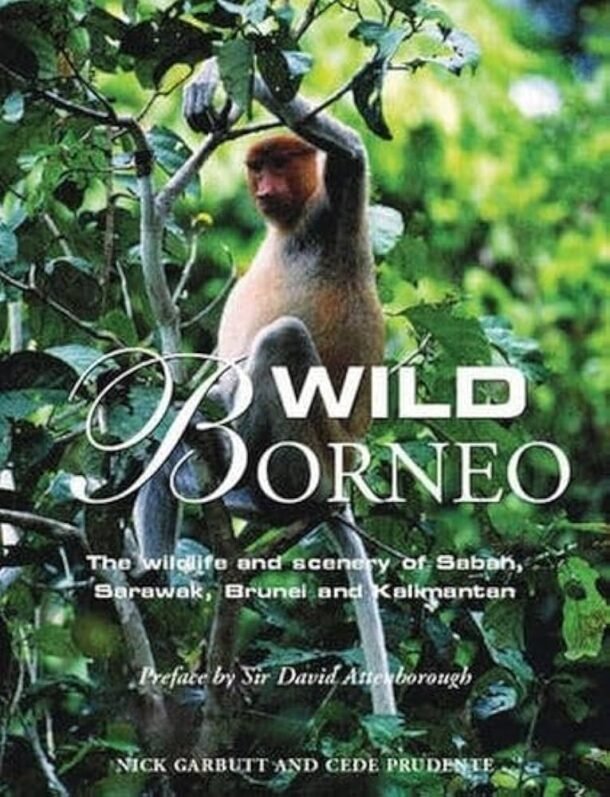 10 Best Books About Borneo - Backpackingman
